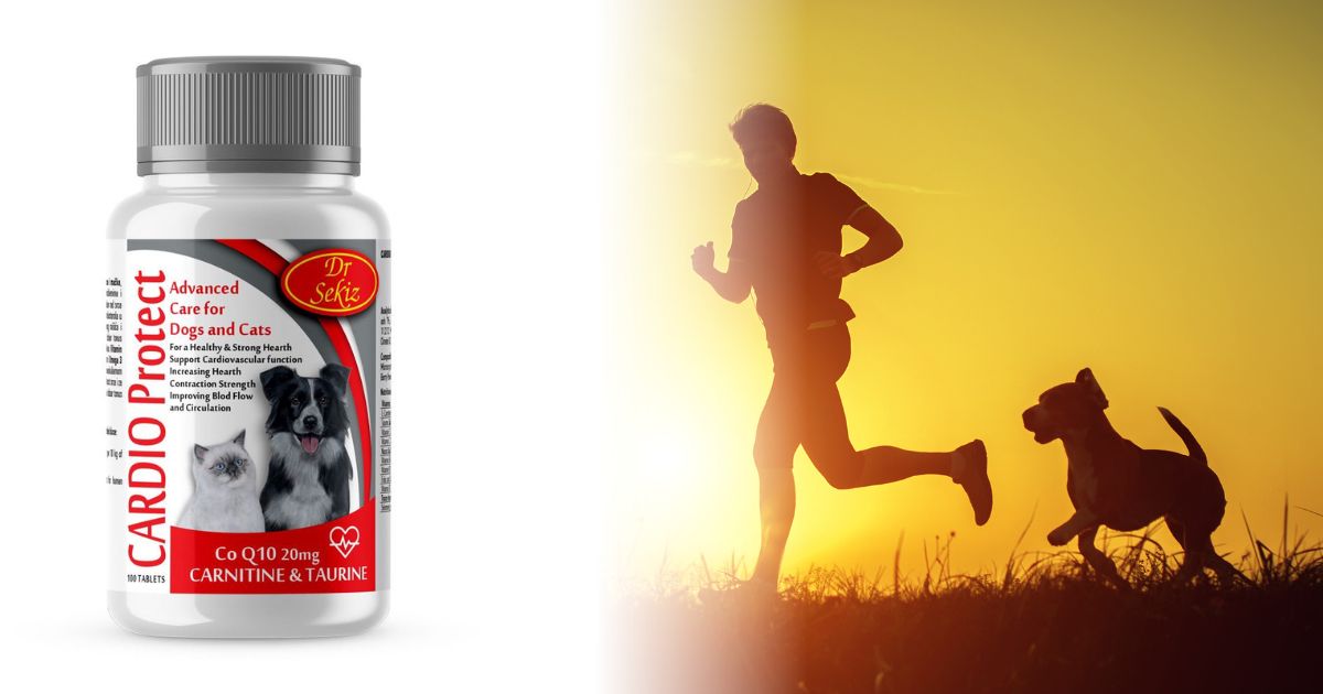 Cardio Protect - podpira zdrav srčno-žilni sistem